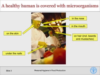 Personal Hygiene in Food Production - dowload | PPT