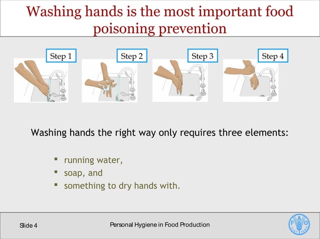 Personal Hygiene in Food Production - dowload | PPT | Infectious ...