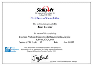 Business Analyst | PPT