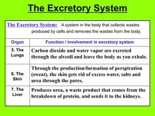 excretory system | PPT