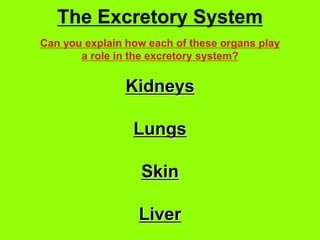 excretory system | PPT