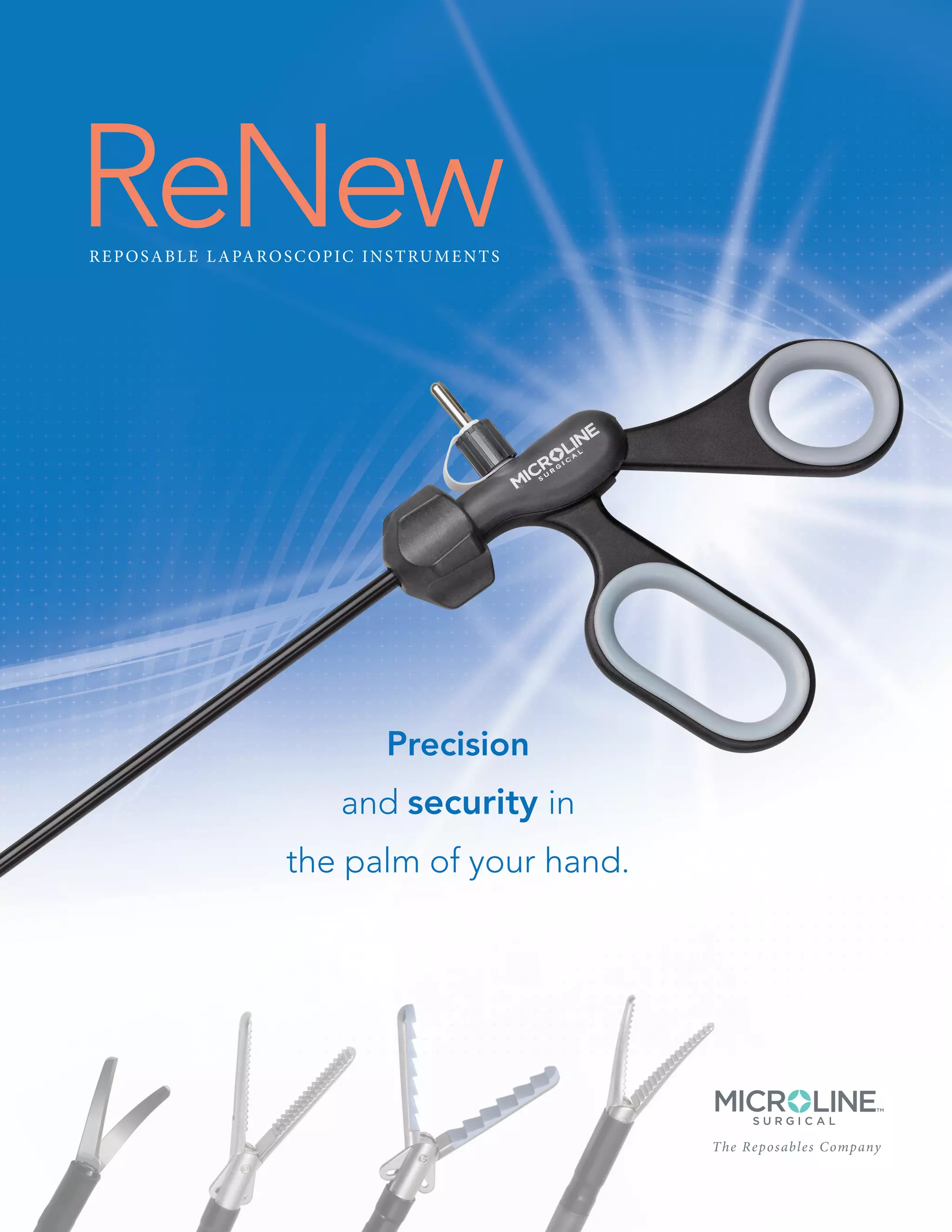 ReNew Product Brochure | PDF