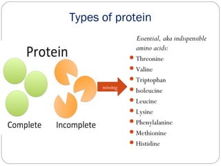 The power of protein | PPT