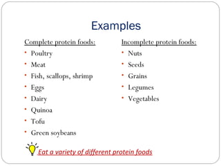 The power of protein | PPT