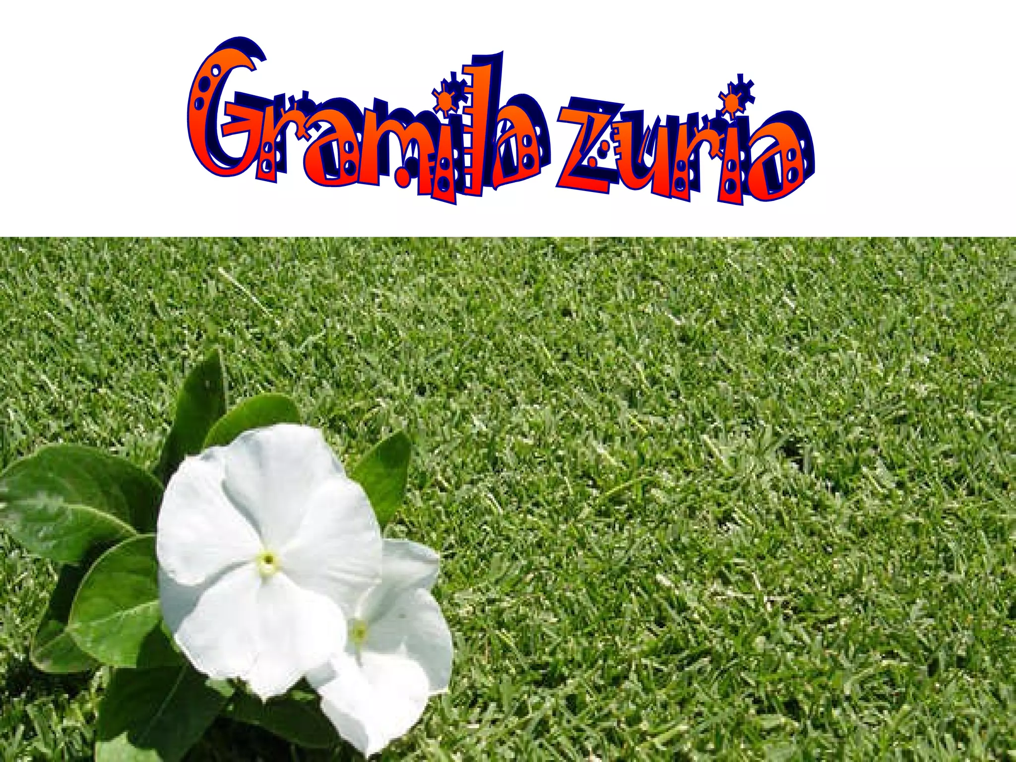 69_bioaniztasuna 1. maila.ppt