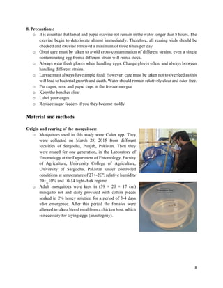 Understanding the Rearing of mosquito in laboratory and Mosquito Vector ...