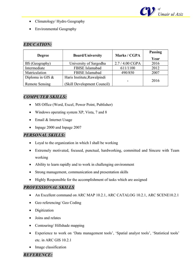 Umair's CV | PDF