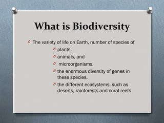Why Is Biodiversity Important 13062014 | PPT