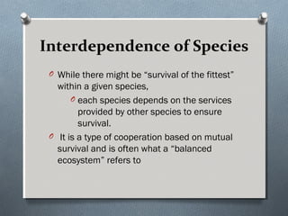Why Is Biodiversity Important 13062014 | PPT