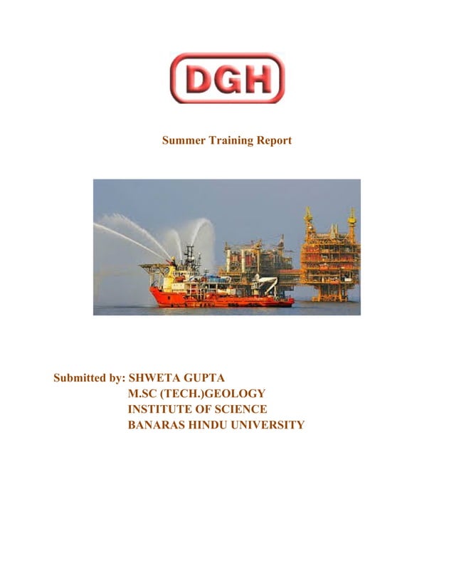 DGH Report | PDF