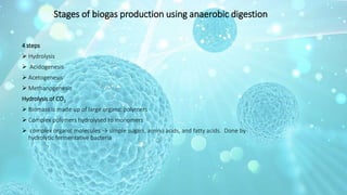 Biogas production from garbage/waste | PPTX