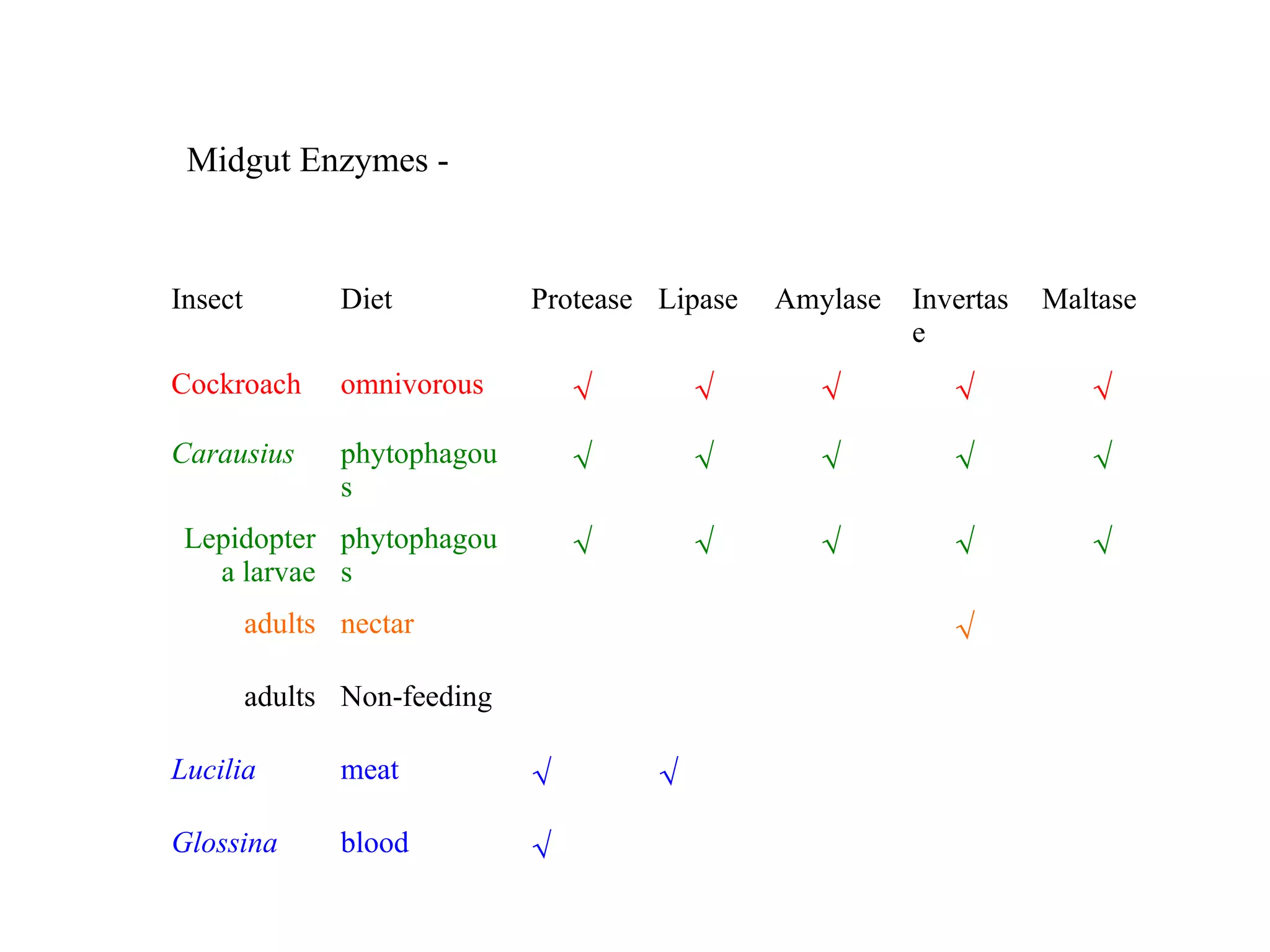 Digestive System of Insects | PPT