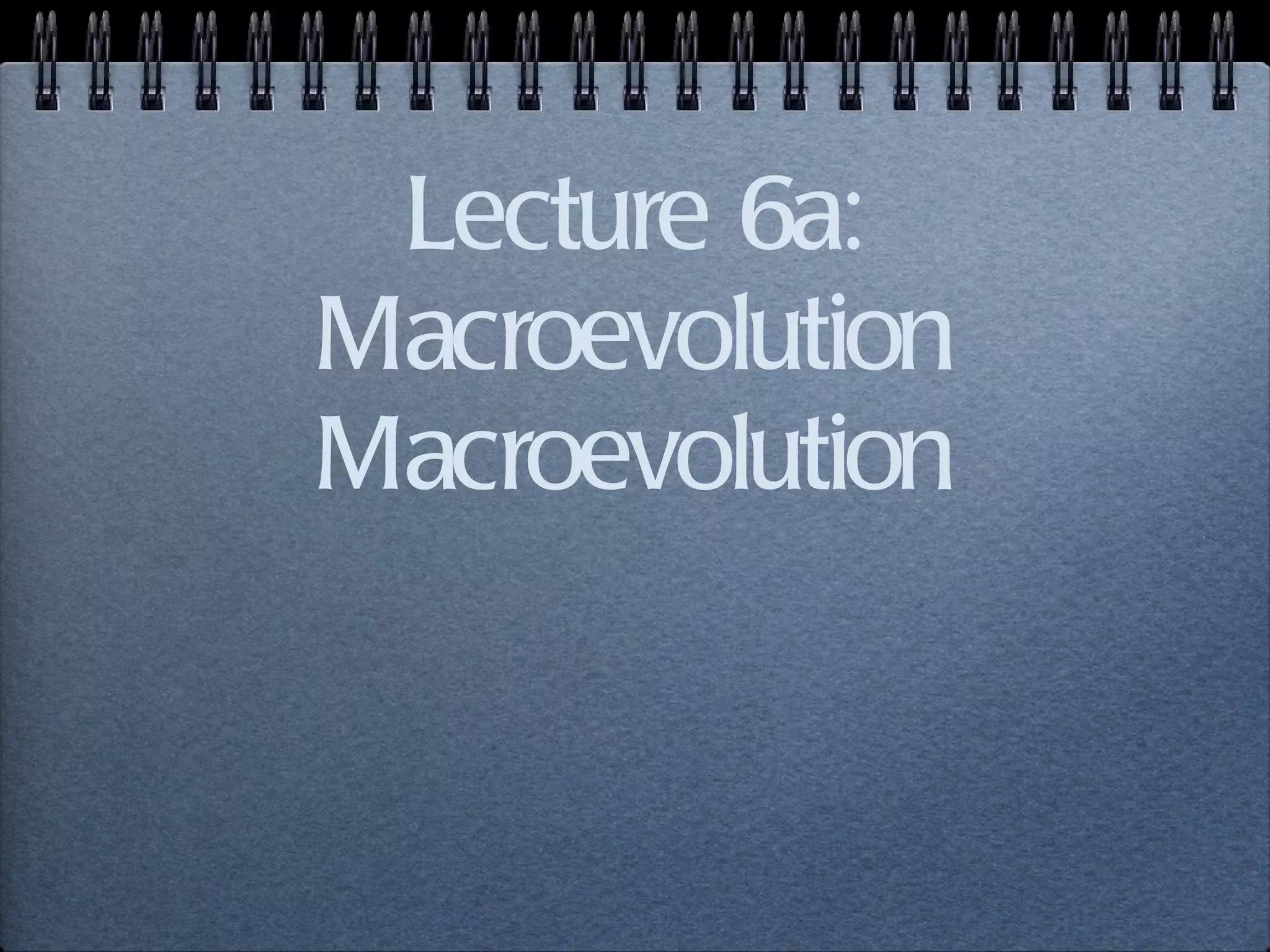 Macroevolution | PPT