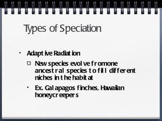 Macroevolution | PPT