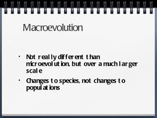Macroevolution | PPT
