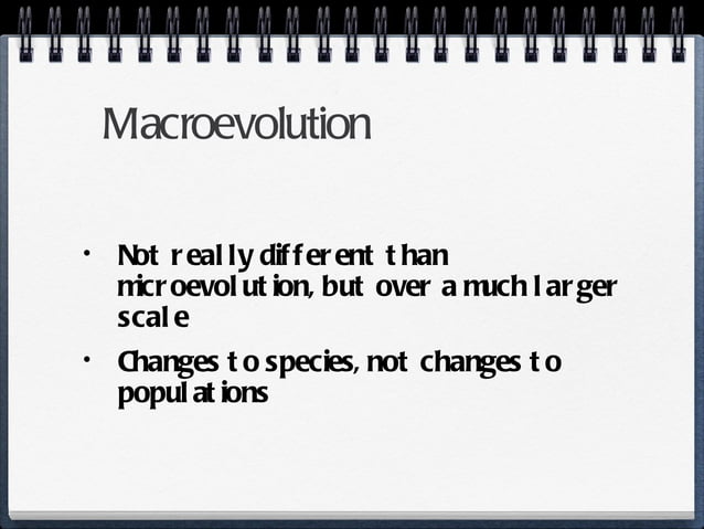 Macroevolution Ppt