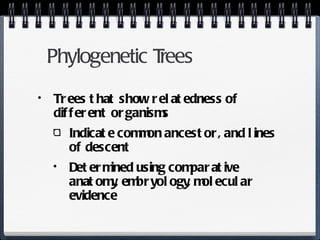 Macroevolution | PPT