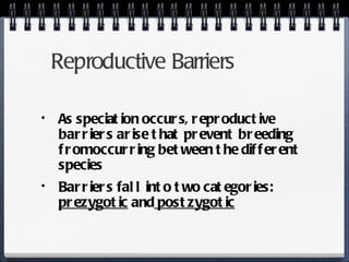 Macroevolution | PPT