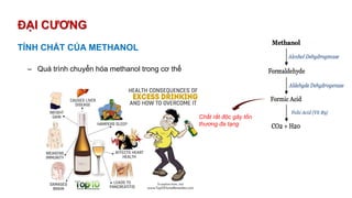 6A - Ngo doc METHANOL - TS_BS_Le Quoc Hung.pdf