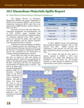 2013 Managing the Risk | PDF | Business | Business and Finance