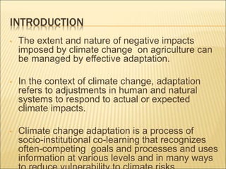 Adaptation Strategies in Agriculture_Almaz | PPTX
