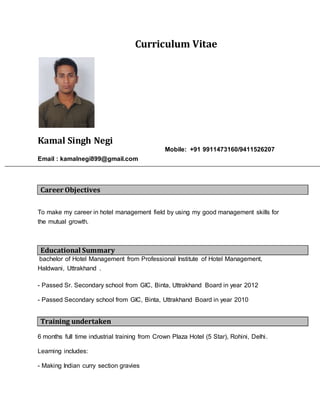 Curriculum Vitae | DOCX