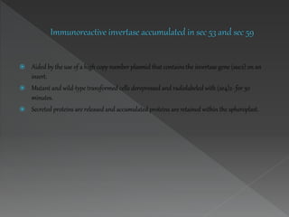 Yeast Secretory mutants that block the formation of | PPT