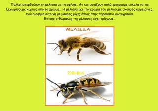 "Μέλισσα" | PDF
