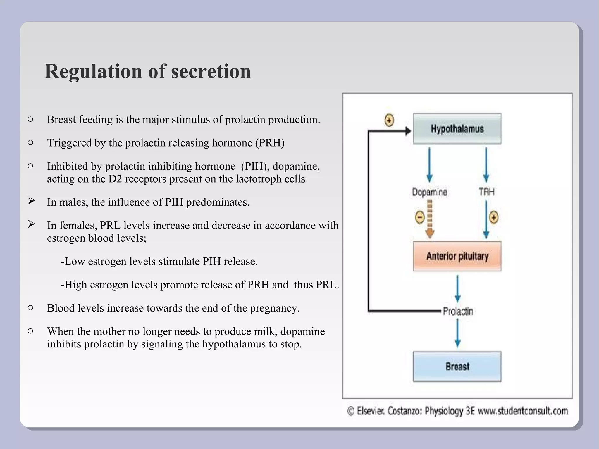 Prolactin hormone | PPT