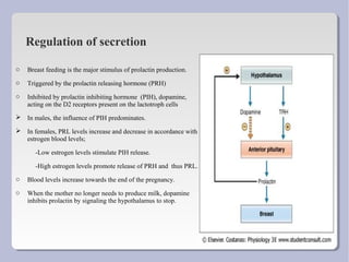 Prolactin hormone | PPT