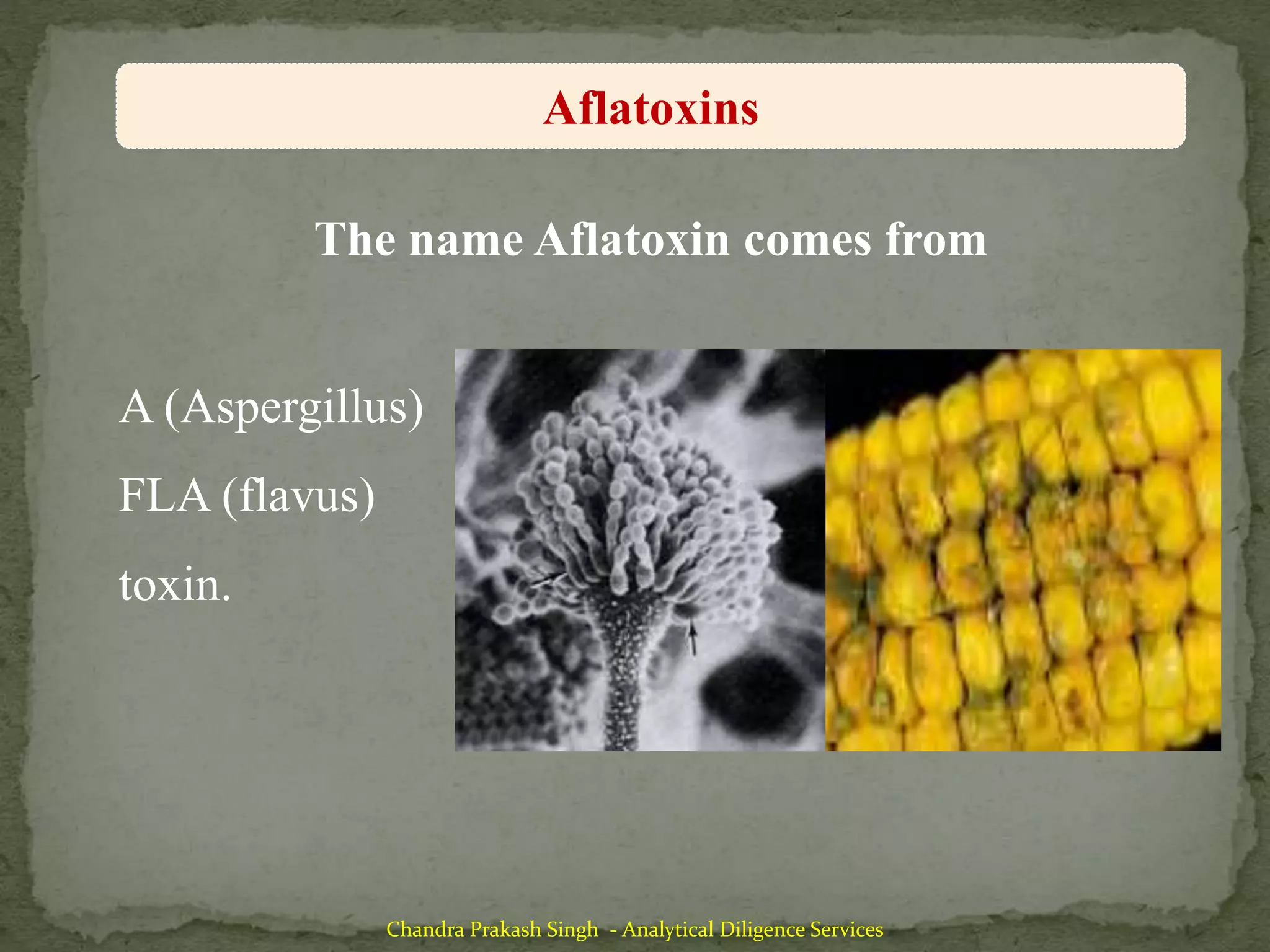 Aflatoxin | PPSX
