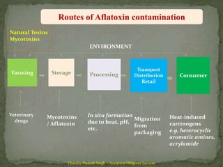 Aflatoxin | PPT