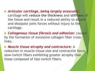 Active free excresises | PPT