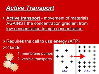 Active Transport is movement of substance against their concentration ...