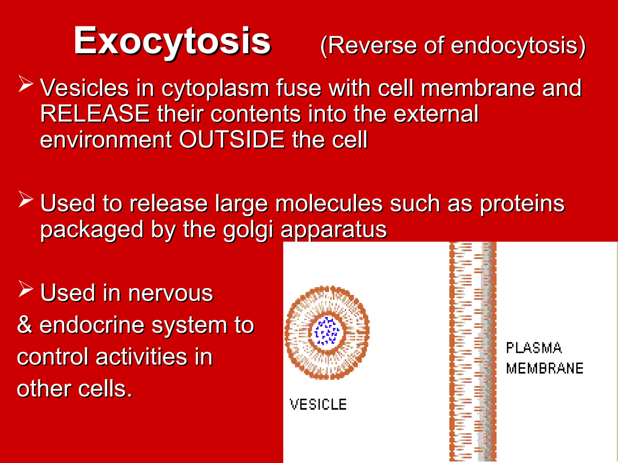 6_Active transport for bacterial cell membrane.ppt