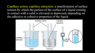 6 adhesion to-dental-tooth-tissue-2 | PPT