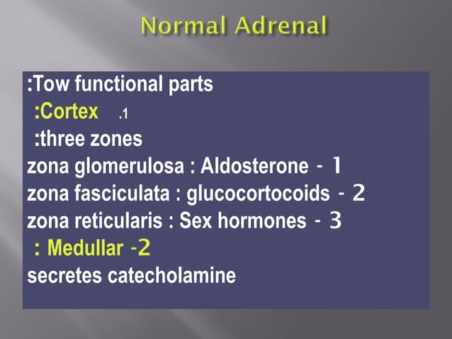 6 The Adrenal gland pathology lecture.ppt