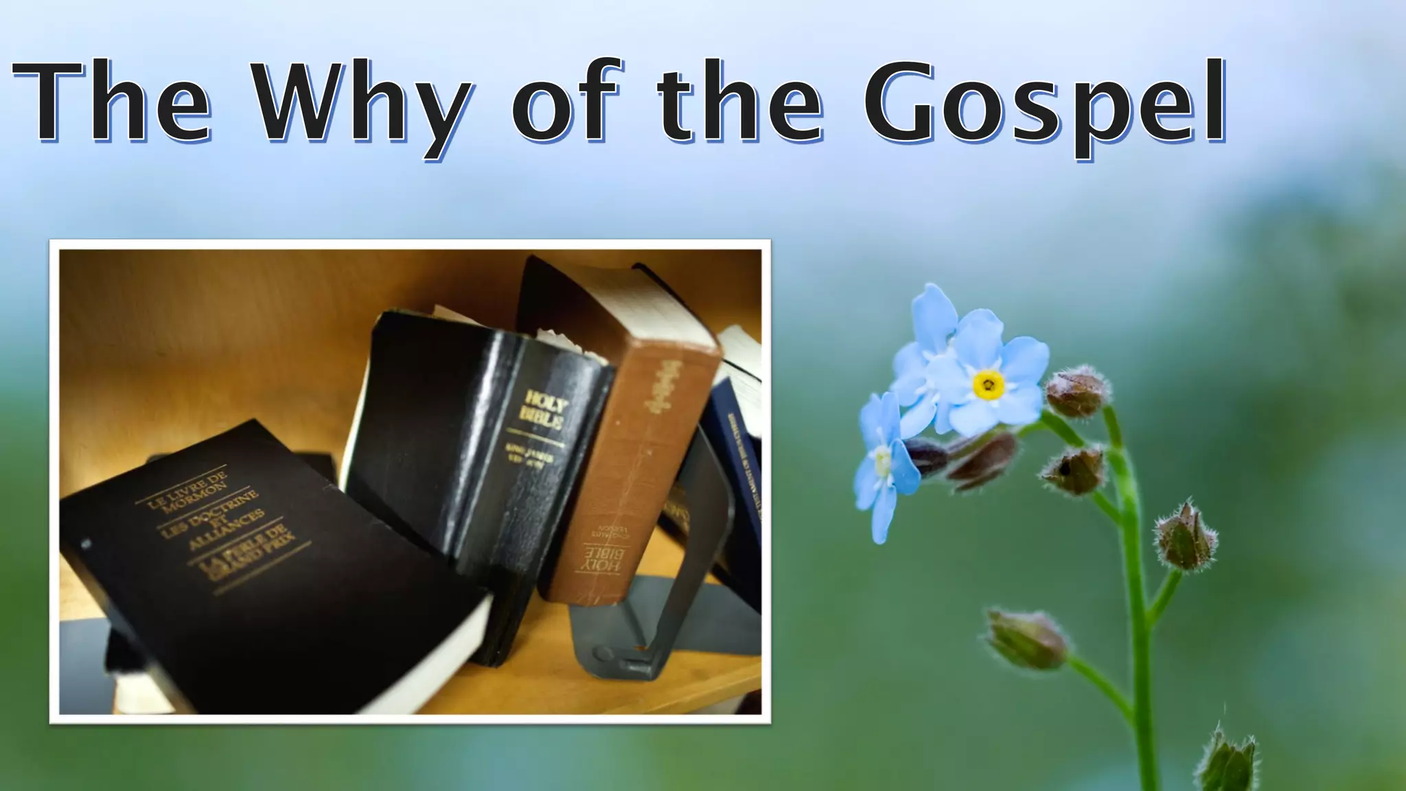 Forget Me Not 6A Project Karen Laszko | PDF