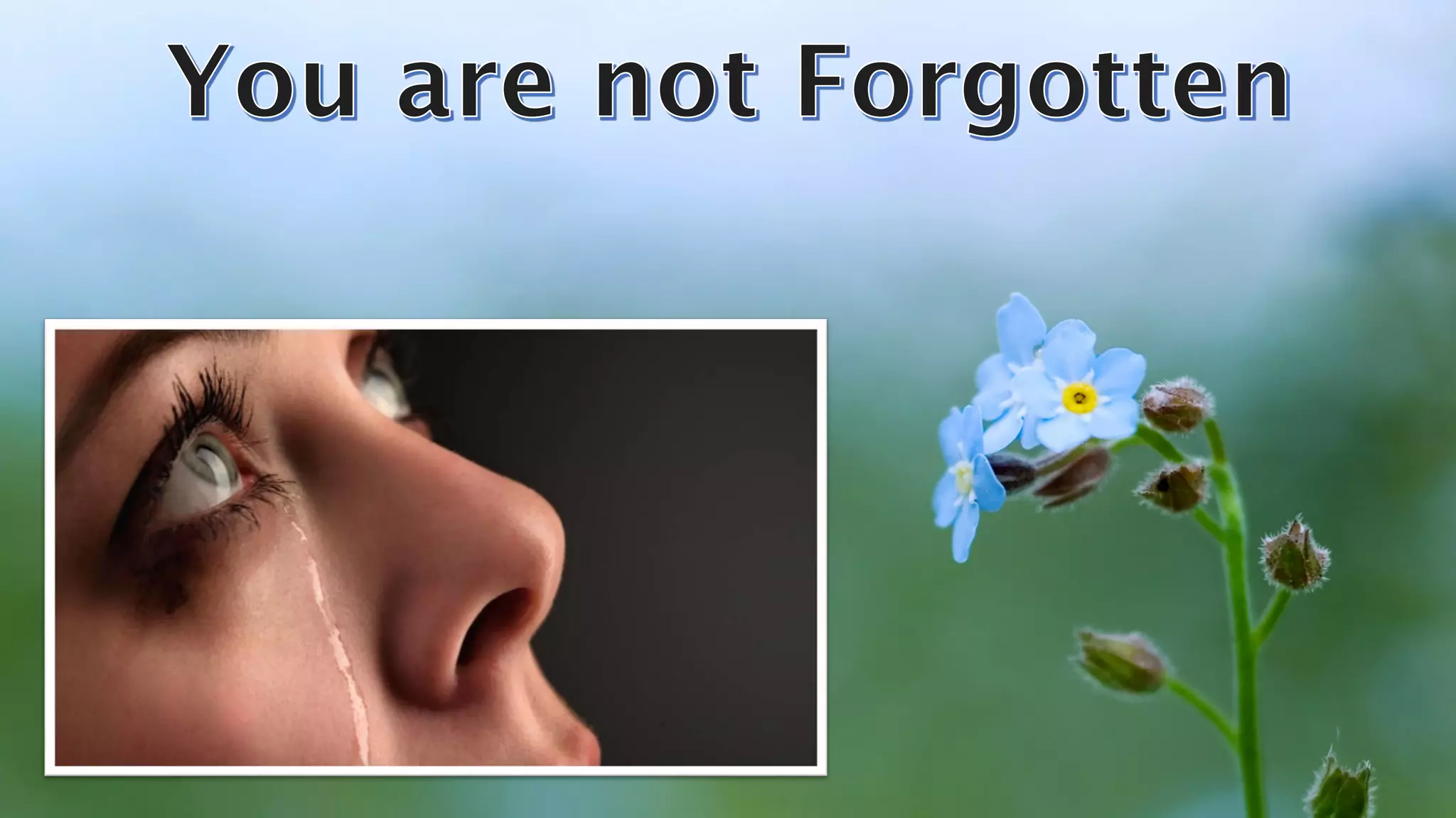 Forget Me Not 6A Project Karen Laszko | PDF