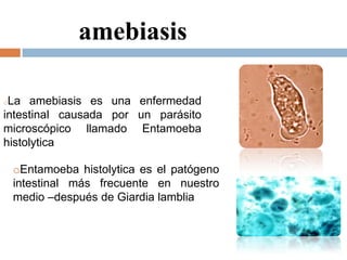 6 amibiasis y coccidioidomicosis | PPTX