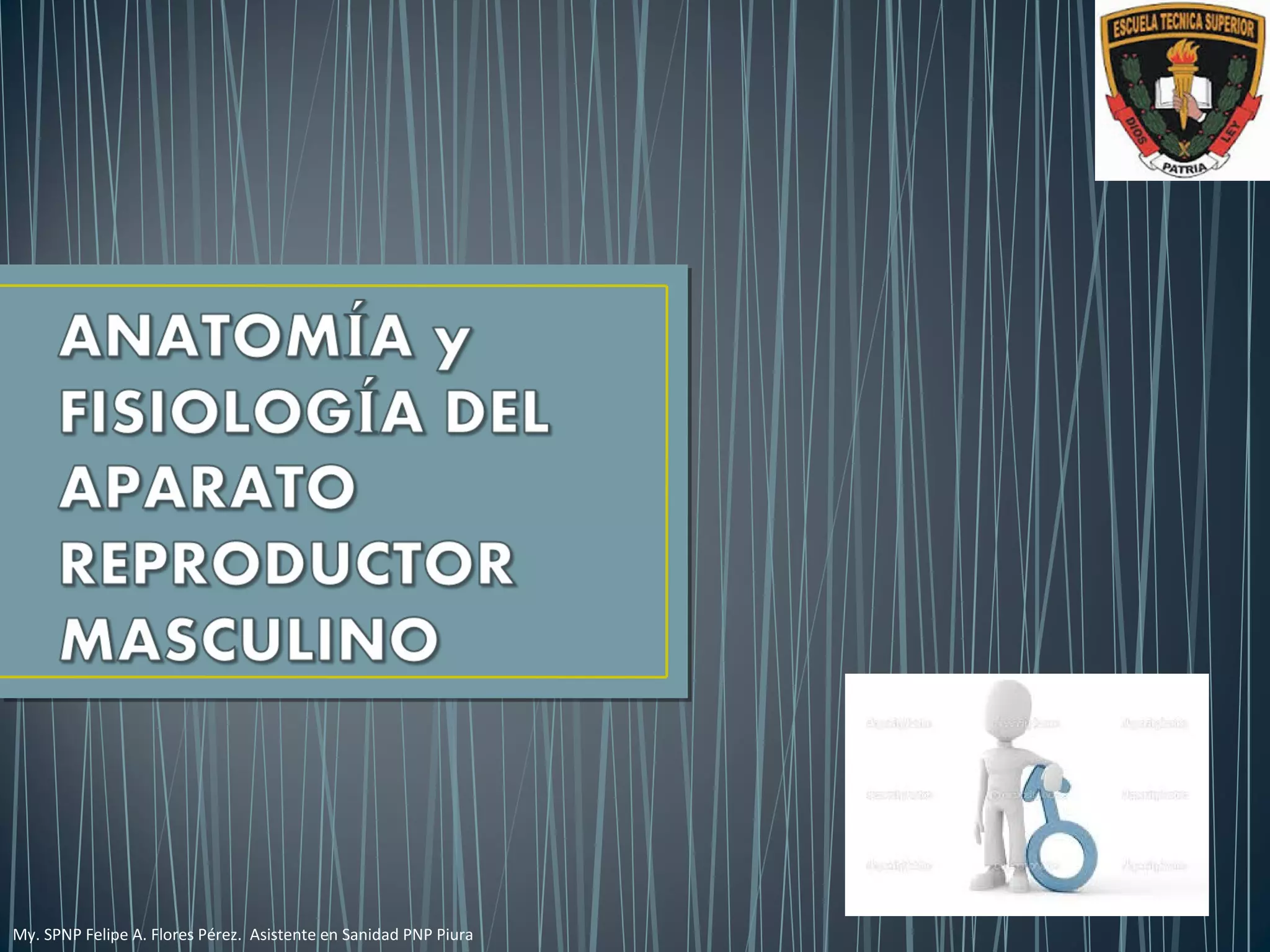 Anatomía y Fisiología del aparato reproductor Femenino y Masculino ...