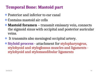 6 deep know of head structure for .ppt