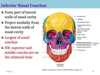 6 deep know of head structure for .ppt