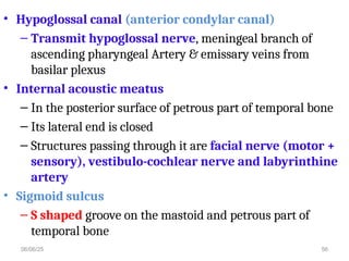 6 deep know of head structure for .ppt