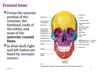 6 deep know of head structure for .ppt