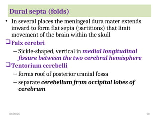 6 deep know of head structure for .ppt