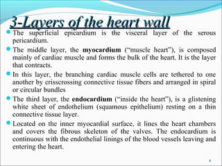 Anatomy of heart | PPT