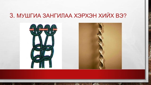 6 angi texnologi em | PPTX