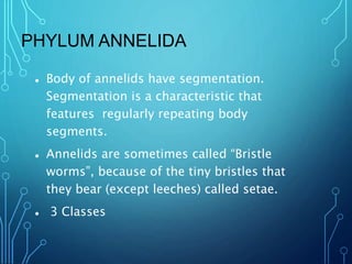 6 Annelida.pptx