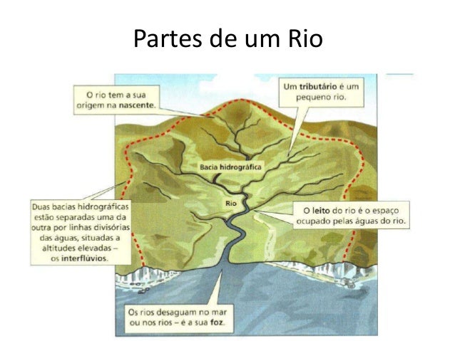 6ºano cap12e cap13_2016